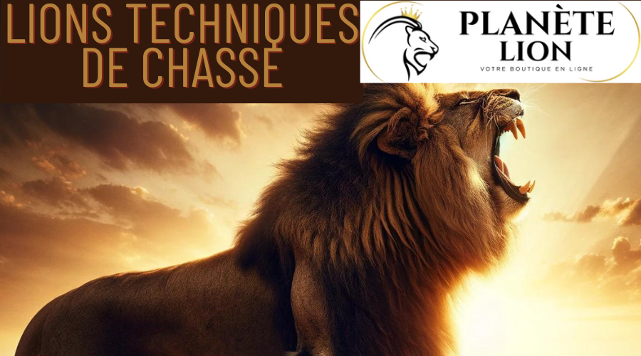 Les Techniques de Chasse uniques des Lions & Planète Lion